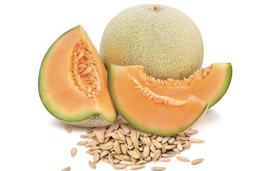 South Pacific Seeds - SPSNZ